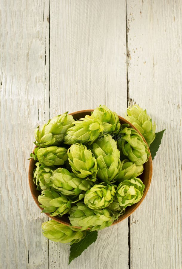 Hop cones on wood stock image. Image of health, aroma - 66073949