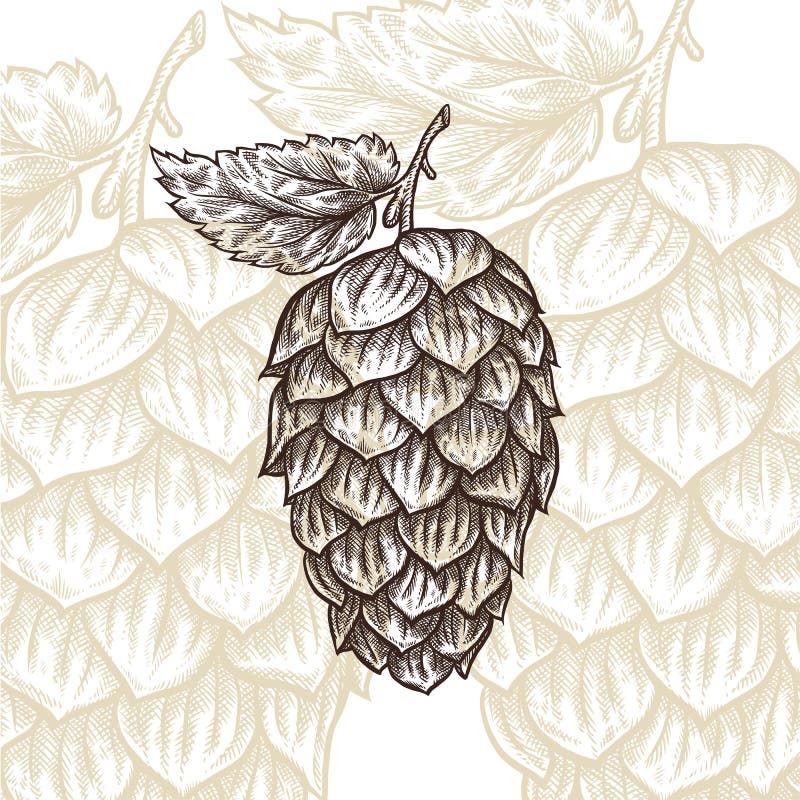 Beer Craft Drinker Stock Illustrations – 19 Beer Craft Drinker Stock ...