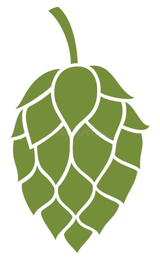 Hop icon color vector stock vector. Illustration of froth - 209612817