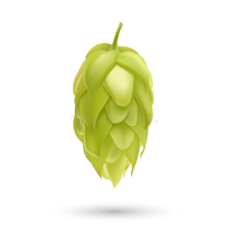 Hops 3d Stock Illustrations – 160 Hops 3d Stock Illustrations, Vectors ...