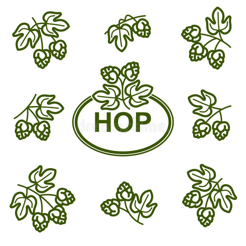 Hop Set. Collection Icon Hops Stock Vector - Illustration of season ...