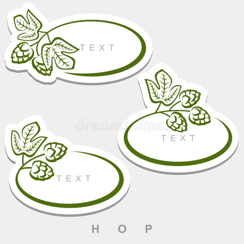 Hop Set. Collection Hop Leaves Frame Stock Vector - Illustration of ...