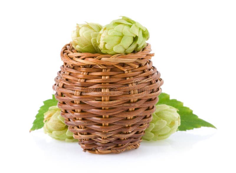 Wooden Bowl with Hop Cones Isolated on White Stock Image - Image of ...