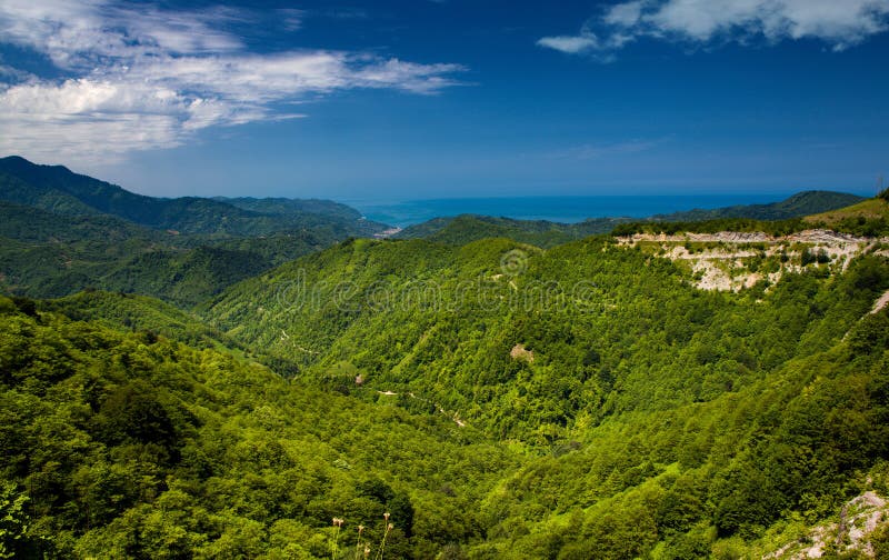 Hopa Forests- Artvin - Turkey Stock Image - Image of background, borcka ...