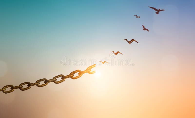 Silhouettes of Broken Chain and Birds Flying in Sky Stock Image - Image ...