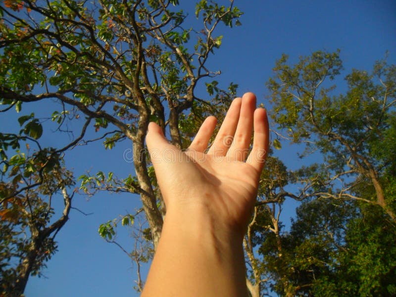 Hope stock image. Image of lonely, fullfill, hope, hand - 70869323