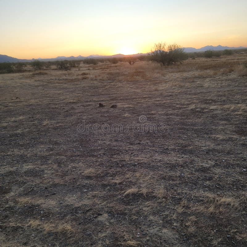 Hope on the Horizon stock photo. Image of brown, green - 215742024