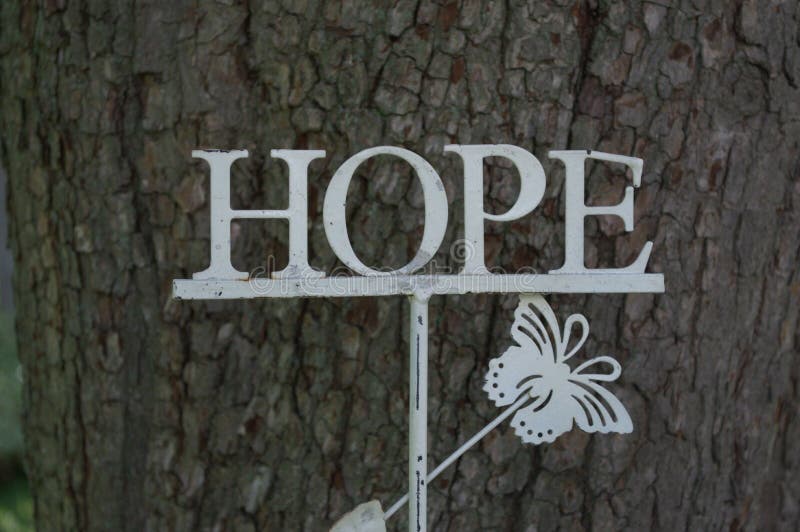 Hope stock image. Image of grey, tree, hope, butterfly - 44241389