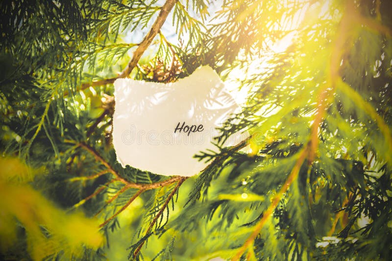Hope text stock image. Image of blank, pattern, texture - 63112005