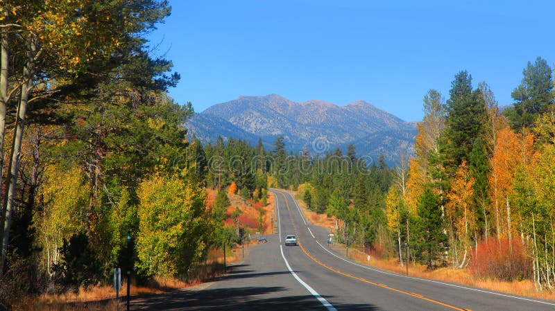 Hope valley, California stock photo. Image of hope, tree - 77773070