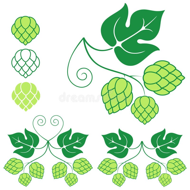 Hopfen vektor abbildung. Illustration von industrie, symbol - 32865718