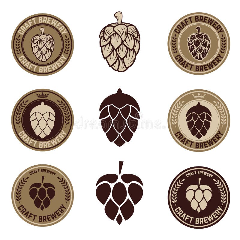 Hopfen vektor abbildung. Illustration von ikone, getreide - 62727892