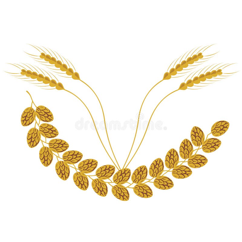 Hopfen und Mais vektor abbildung. Illustration von hopfen - 23109098