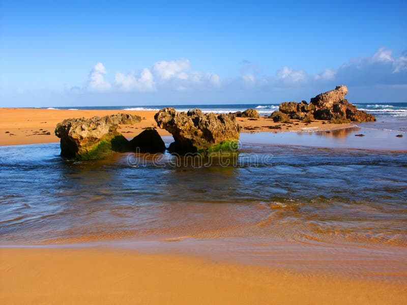 Hopkins River and Pacific Ocean Stock Image - Image of rocky, brackish ...