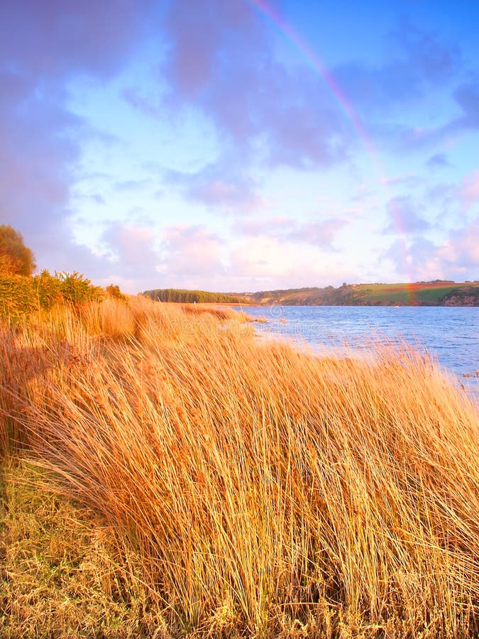 Hopkins River Warrnambool Australia Stock Photo - Image of stream ...