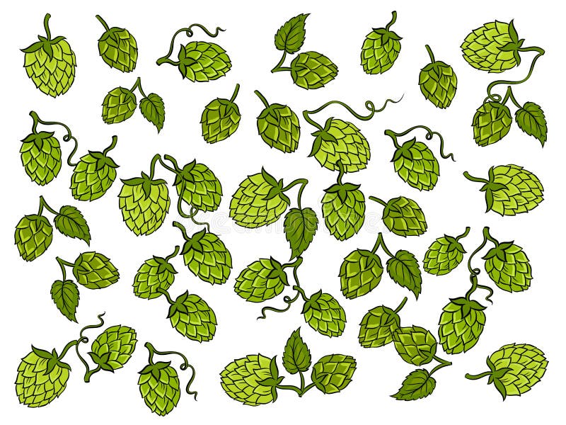 Branch of Hops Pop Art Vector Illustration Stock Vector - Illustration ...