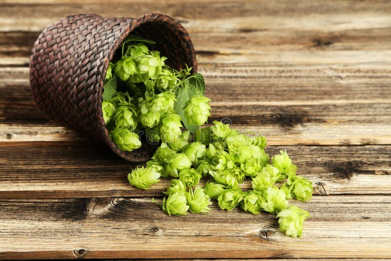 Hops in Basket on Brown Wooden Background. Stock Photo - Image of ...