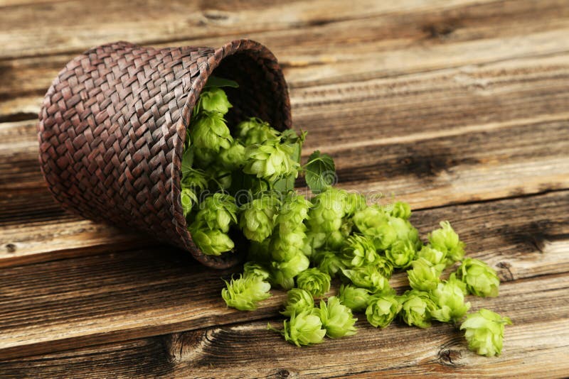 Hops in Basket on Brown Wooden Background. Stock Photo - Image of ...