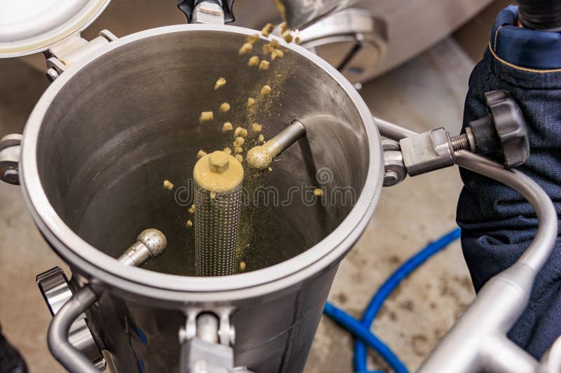 Hops Cones Inside Industrial Brewing Equipment for Beer Production ...