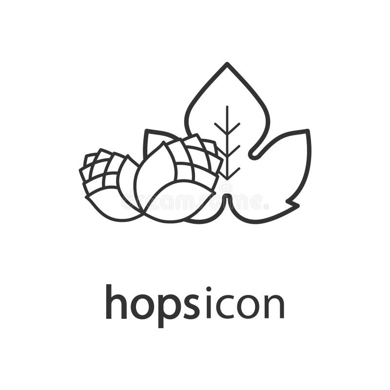 Hops Line Drawing Stock Illustrations – 392 Hops Line Drawing Stock ...