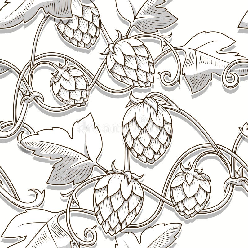 Hops Vine Stock Illustrations – 164 Hops Vine Stock Illustrations ...