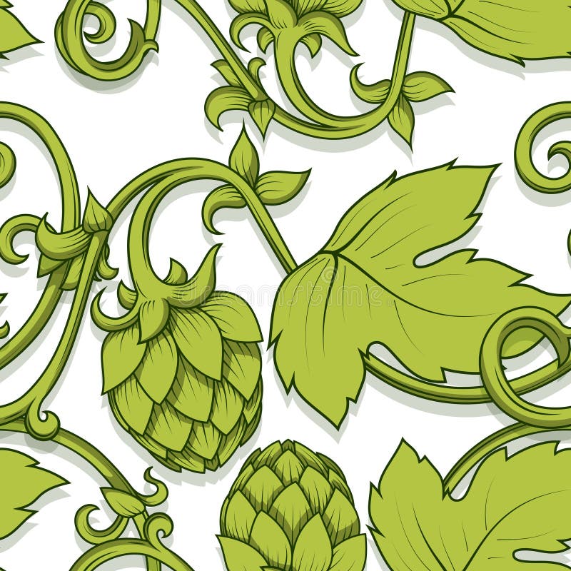 Branch of Hops Pop Art Vector Illustration Stock Vector - Illustration ...