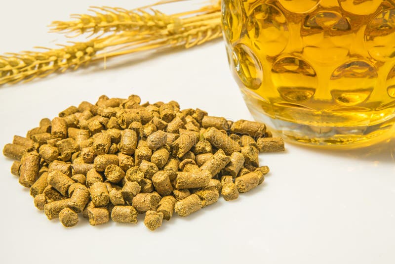 Hops Pellets Used for Brewing Beer Stock Image - Image of brewery, hops ...