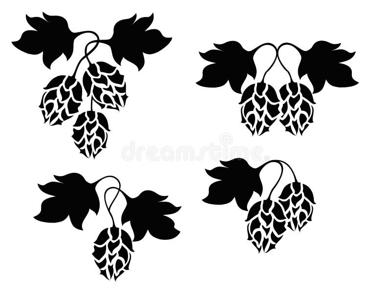 Hops stock vector. Illustration of decoration, design - 26688781