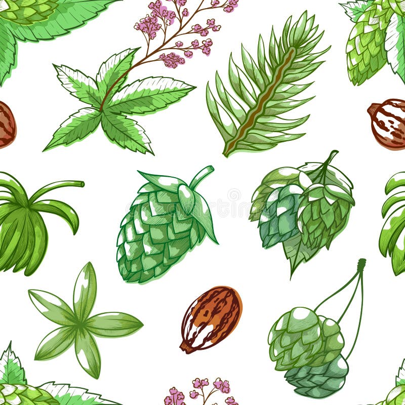 Hops Plant Seamless Pattern, Hand Drawing Style. Hops Background. Hops ... Hops Plant Seamless Pattern, Hand Drawing Style. Hops Background. Hops ...