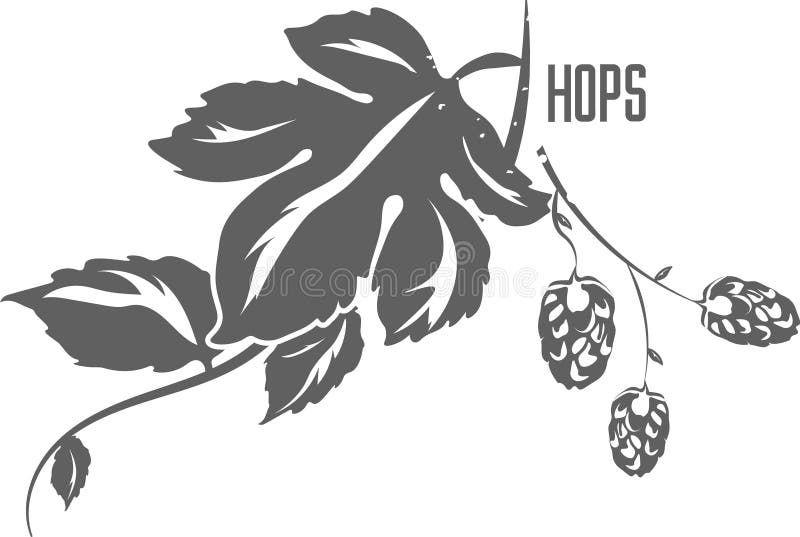 Hops Plant Silhouette Stock Illustrations – 234 Hops Plant Silhouette ...