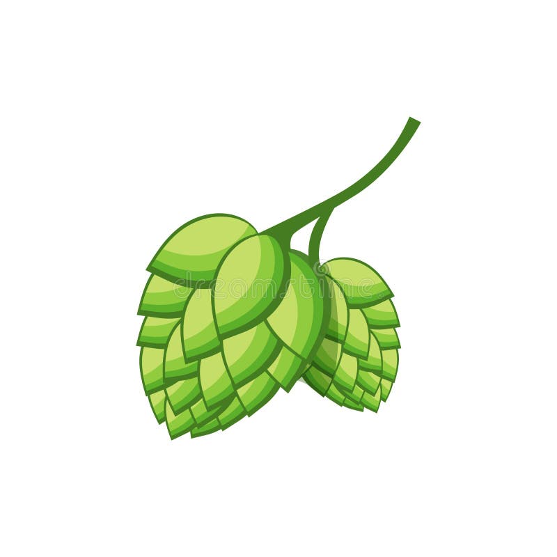 Hops Vector Visual Graphic Icon or Logo, Ideal for Beer, Stout, Ale ...