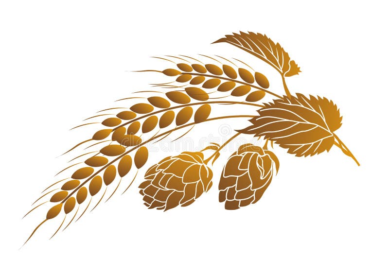 Hops Stock Illustrations – 23,704 Hops Stock Illustrations, Vectors ...