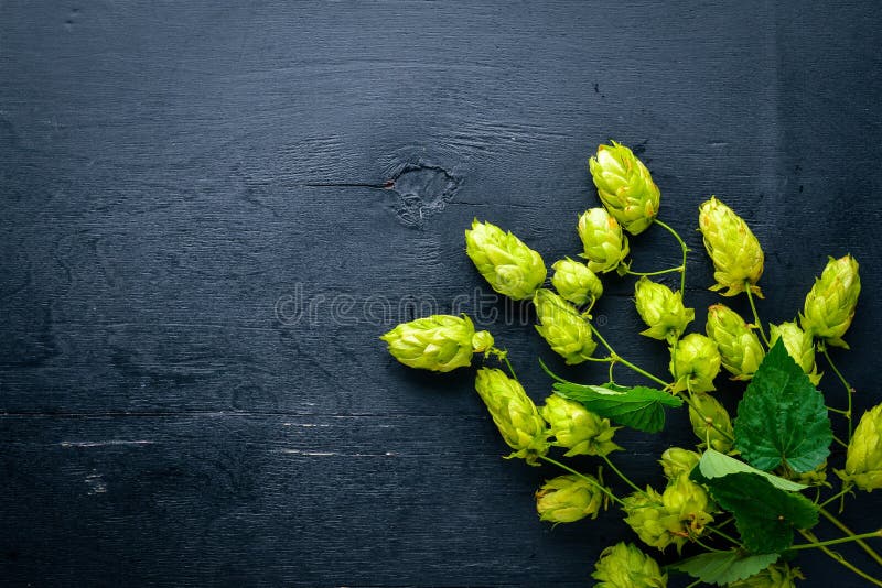 Hops on a Wooden Background. Stock Image - Image of vintage, texture ...