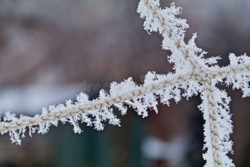 Hoar Frost on a String stock image. Image of blue, hang - 146479241
