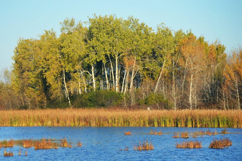 Horicon Marsh stock photo. Image of wisconsin, horicon - 88165222