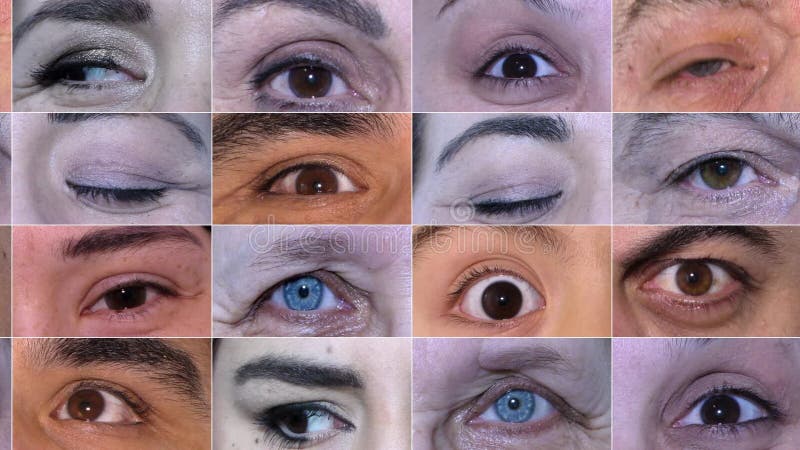 4 Types of Movement Animation of Light Bulb Animation, Creativity ...