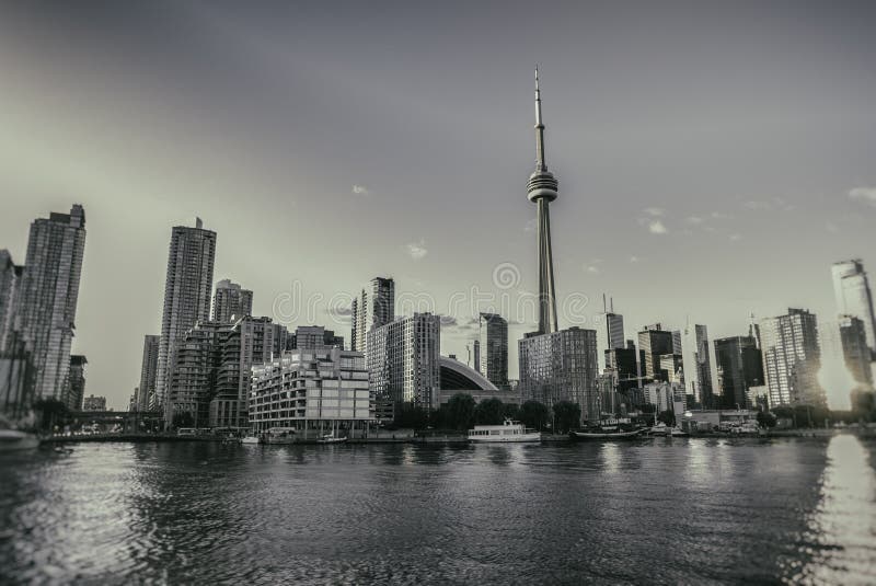 Horizon De Toronto En Noir Et Blanc Photo stock - Image du silhouette ...