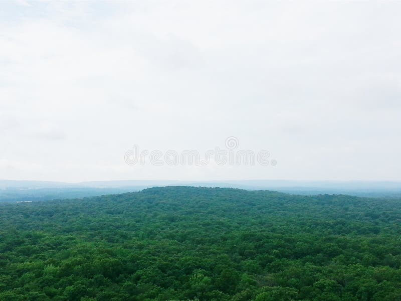 Horizon stock photo. Image of tree, line, horizon, high - 77773594