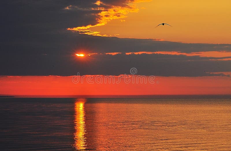 Horizon, Sky, Sunset, Sunrise Picture. Image: 131165687