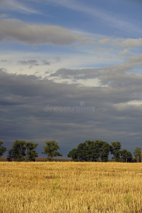 Horizon and Space. Beautiful Clouds Over a Compressed Field Stock Image ...