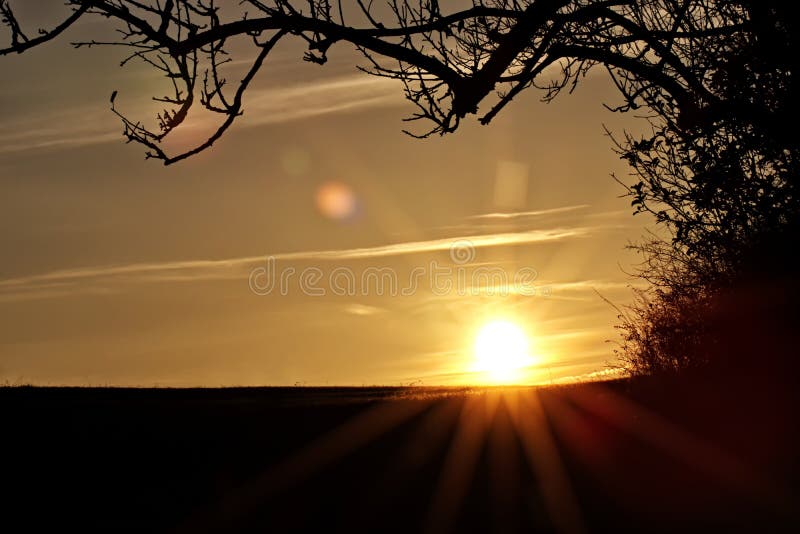 On the Horizon the Star-shaped Setting Sun with Silhouettes Stock Photo ...