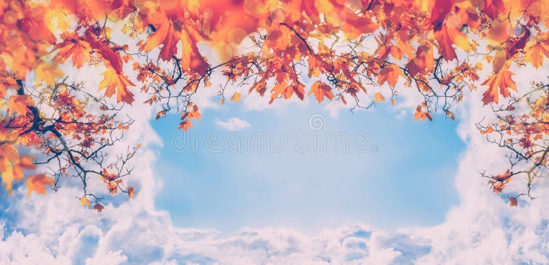 Horizontal Autumn Background with Maple Leaves Stock Photo - Image of ...