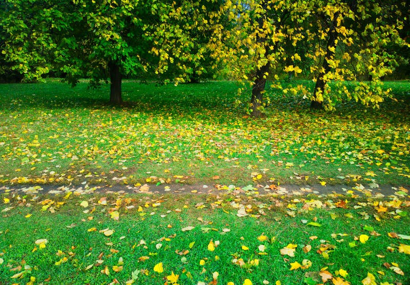 Fall Path, Horizontal stock image. Image of trees, seasonal - 324307