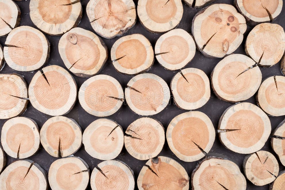 Horizontal Background of Wood Logs of Different Sizes Stock Image ...