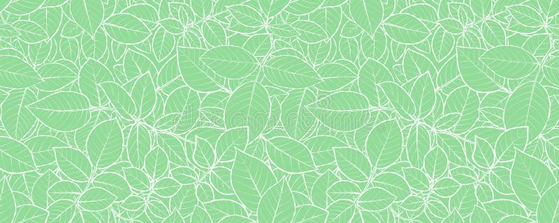 Horizontal Banner. Green Mint Leaves. Dense Seamless Pattern Stock ...