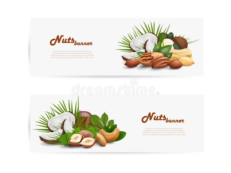 Horizontal Banner from a Set of Nuts Made in a Realistic Style Stock ...