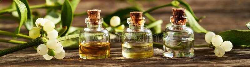 Panoramic Banner or Header with Essential Oils and Mistletoe Stock ...