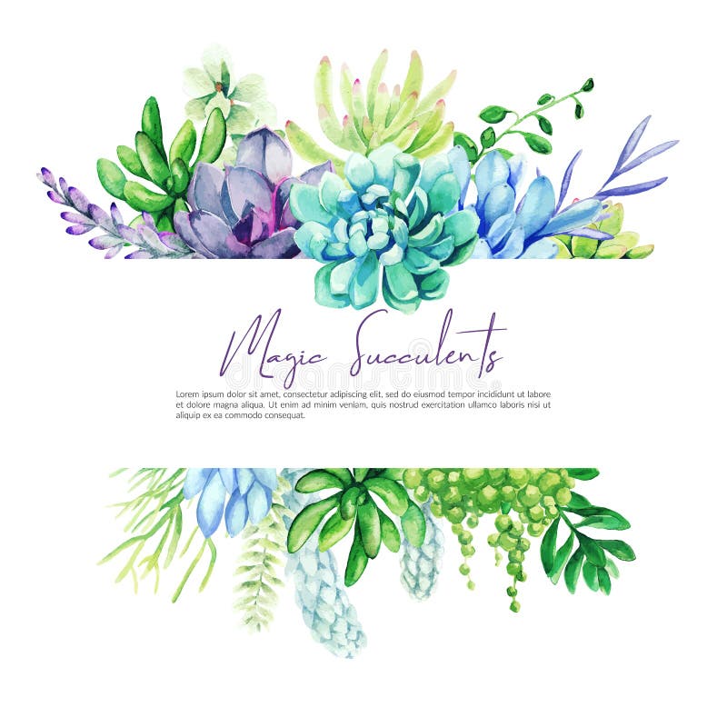 Horizontal Banner with Watercolor Cactus and Succulent Plants Stock ...