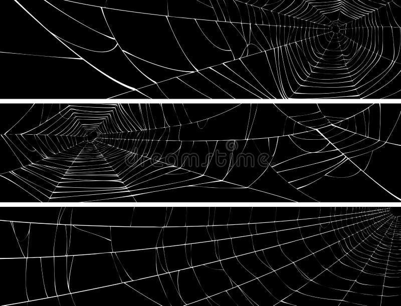 Horizontal Banner of Web of Spider. Stock Vector - Illustration of ...