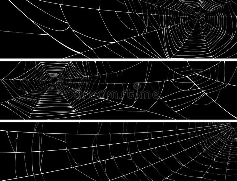 93+ Horizontal spider Free Stock Photos - StockFreeImages